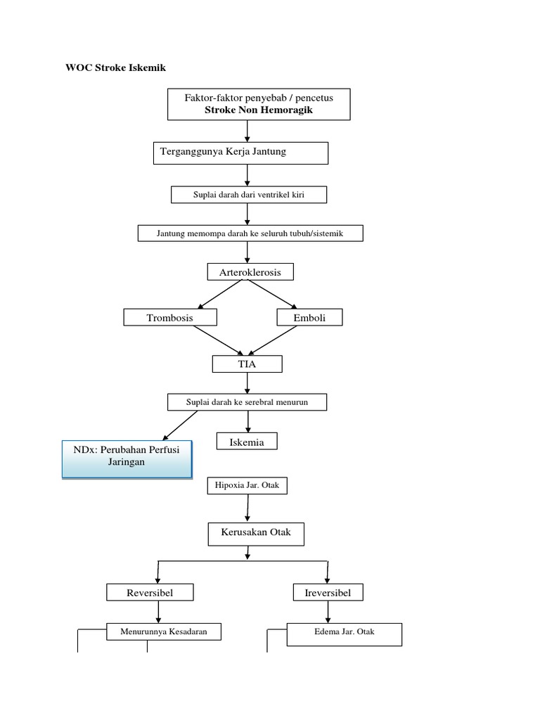 WOC Stroke Iskemik | PDF
