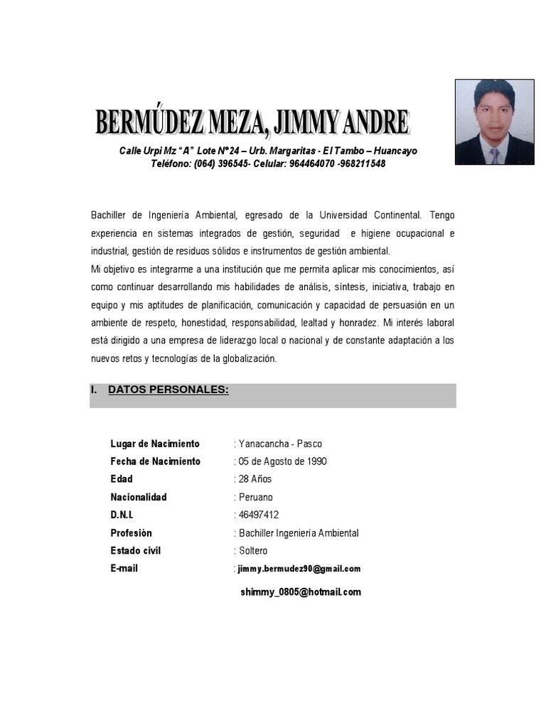 CV Bermudez Meza Jimmy Andre | PDF