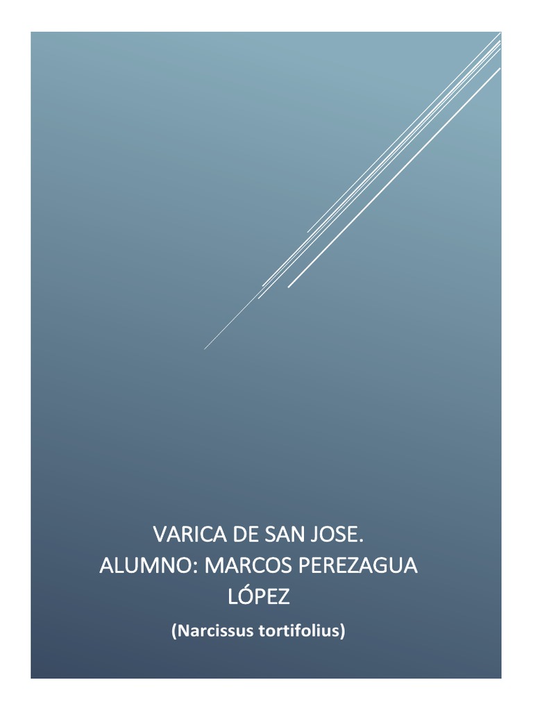 Varica de San José | PDF | Plantas | Horticultura y jardinería