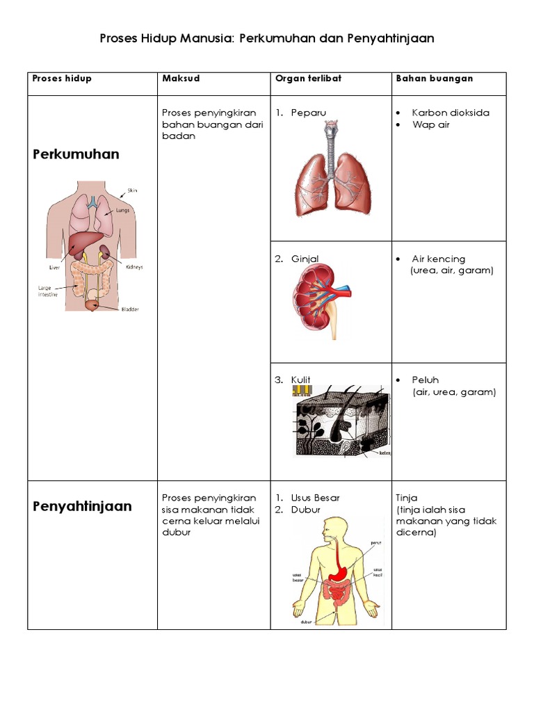 Proses Perkumuhan Dan Penyahtinjaan-Sains T4 | PDF