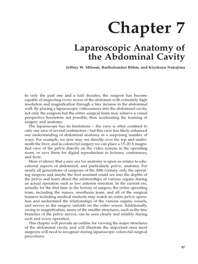 Laparoscopic Anatomy Of The Abdominal Cavity Pdf Liver Large