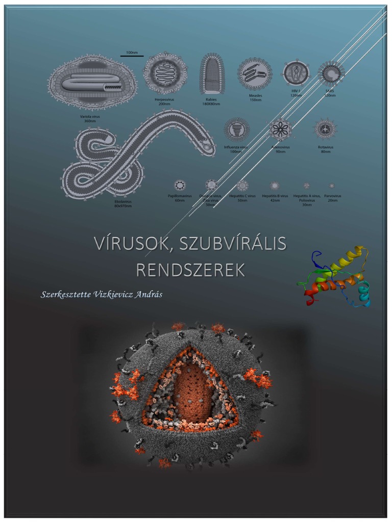 Vírusok | PDF