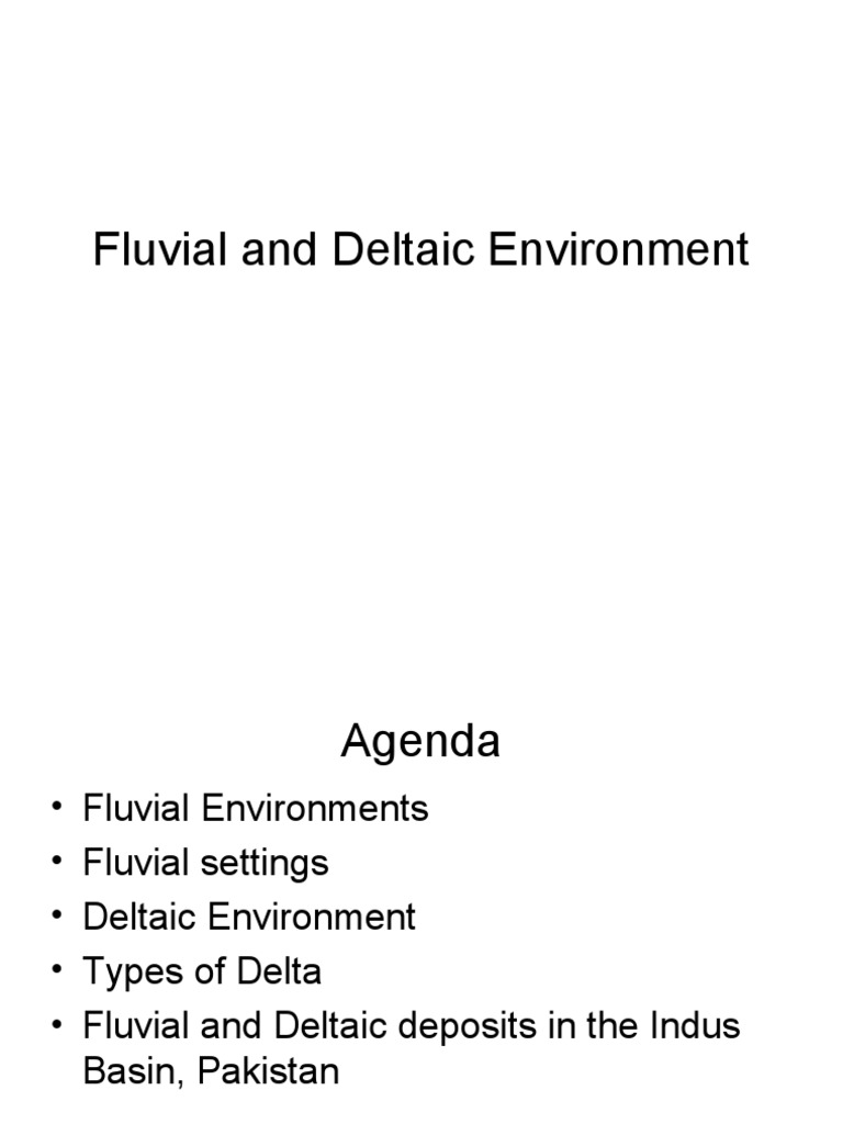 Fluvial and Deltaic Environment | PDF | River Delta | River