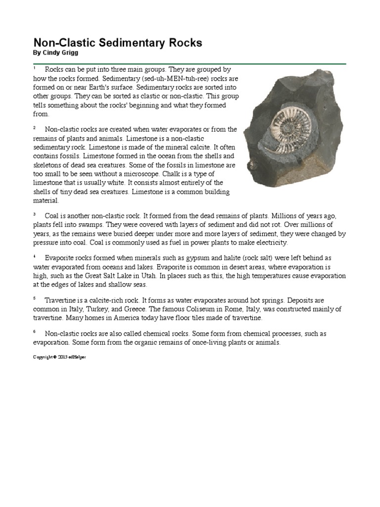 Non Clastic Sedimentary Rocks | PDF | Sedimentary Rock | Limestone