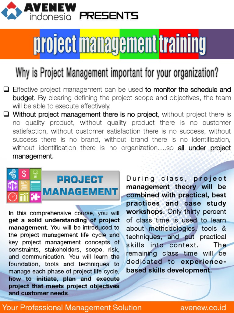 Your Professional Management Solution Avenew - Co.id | Download Free PDF | Project Management ...