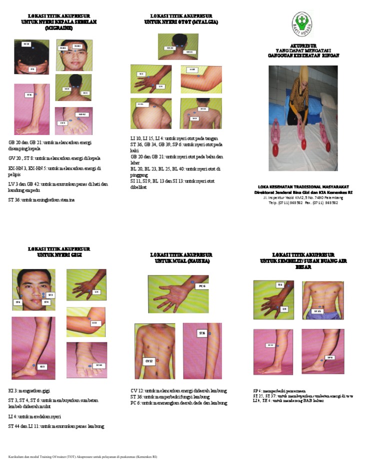 Lokasi Titik Akupresur Untuk Gangguan Kesehatan Umum 1 Pdf