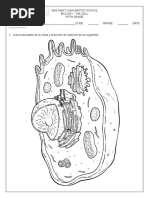 Células Lábiles | PDF | Relaciones personales, crianza y desarrollo ...