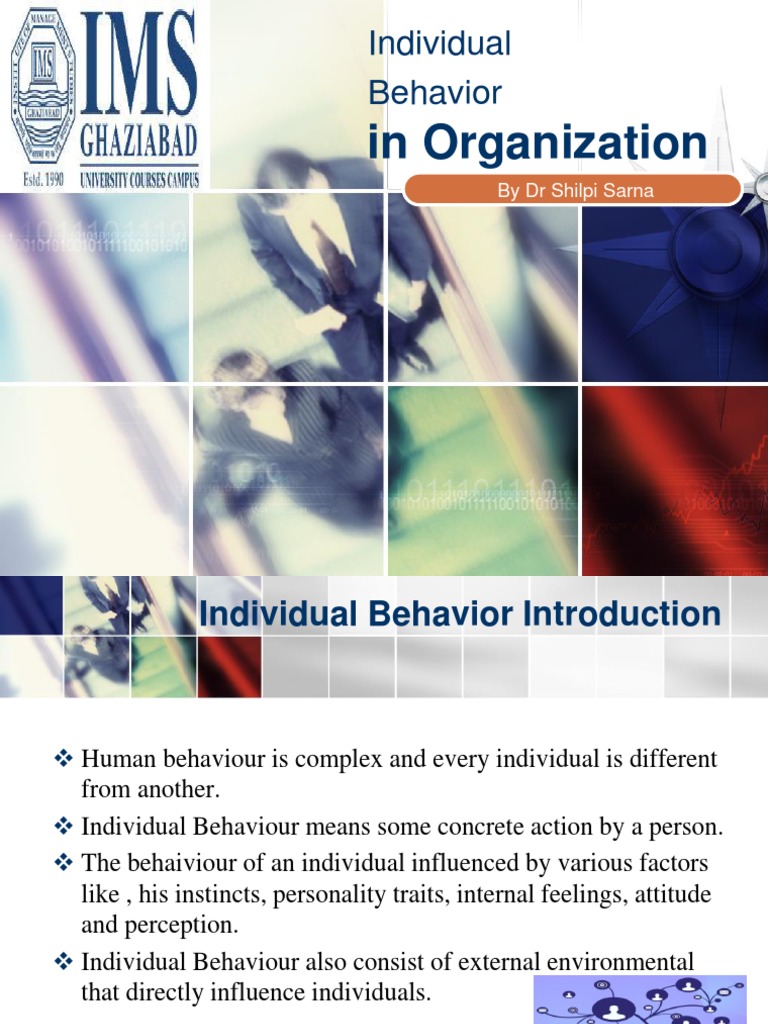 Individual Behavior in Organization | PDF | Motivation | Motivational