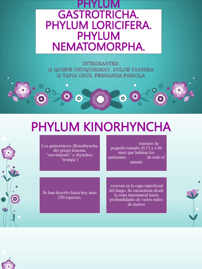 Phylum Kinorhyncha | PDF
