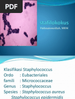 Penjelasan Staphylococcus Aureus | PDF