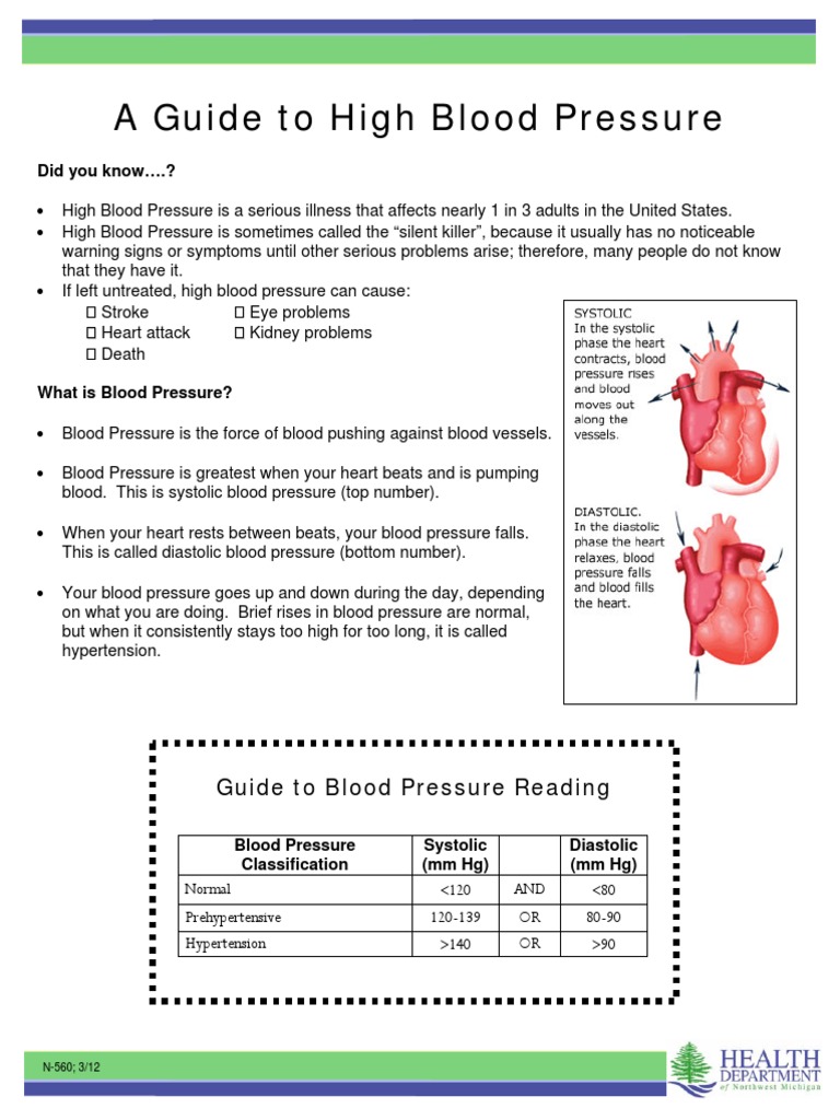 A Guide To High Blood Pressure | PDF | Blood Pressure | Hypertension
