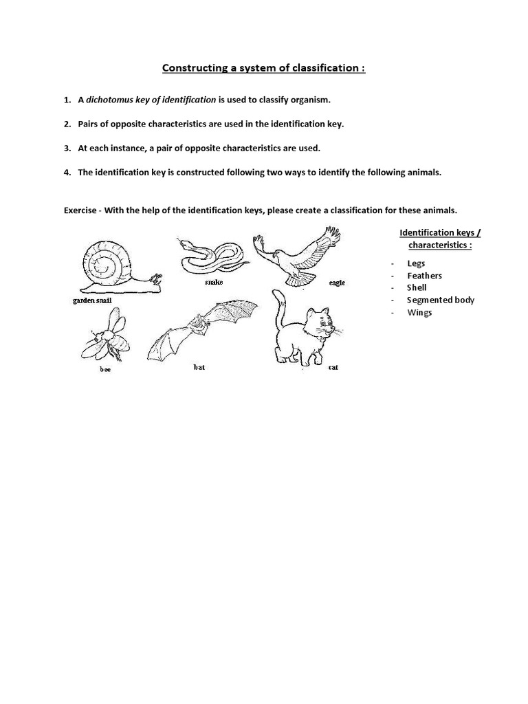 Using Dichotomous Keys for Classification | PDF