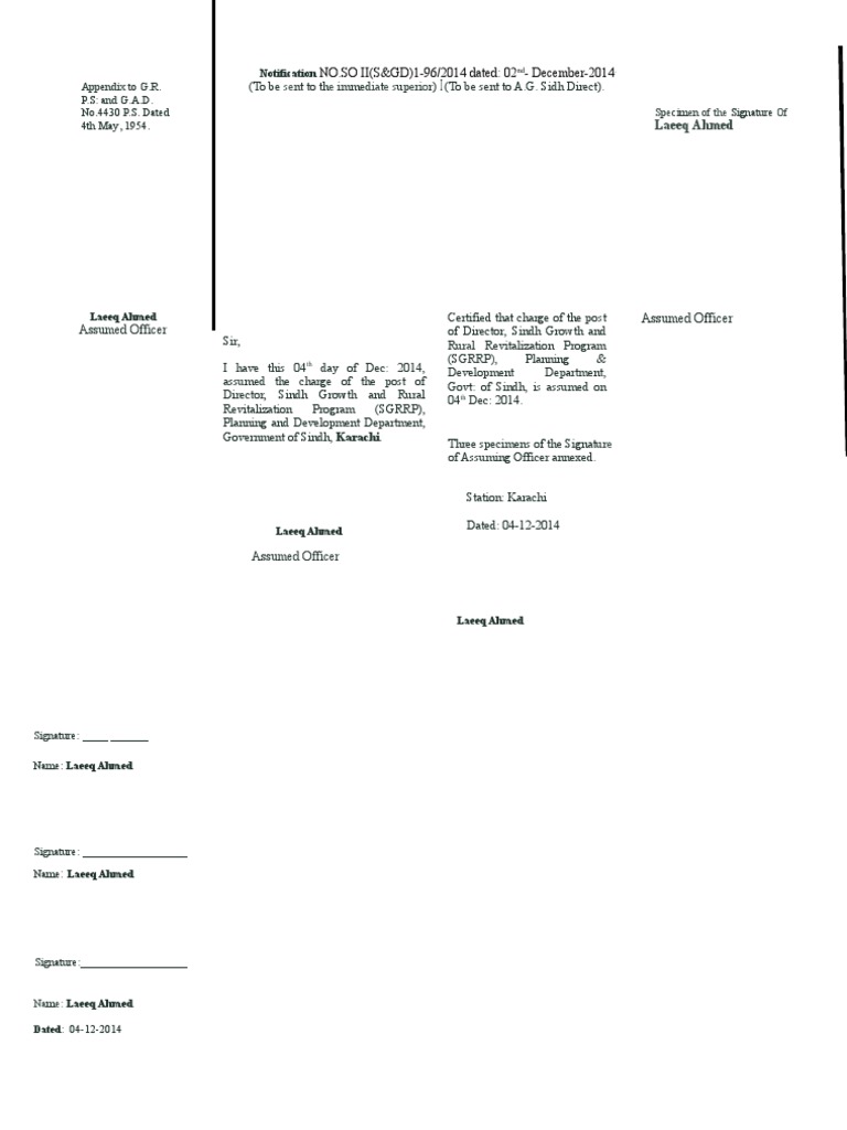 Charge Assumption Report Format