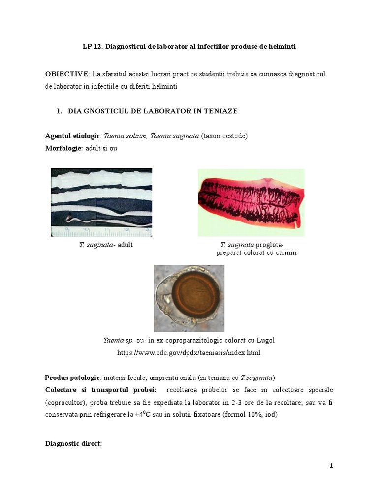 LP 12 Helminti | PDF