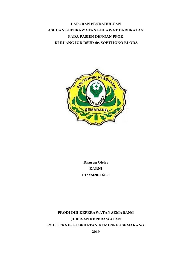 Laporan Pendahuluan PPOK di IGD | PDF