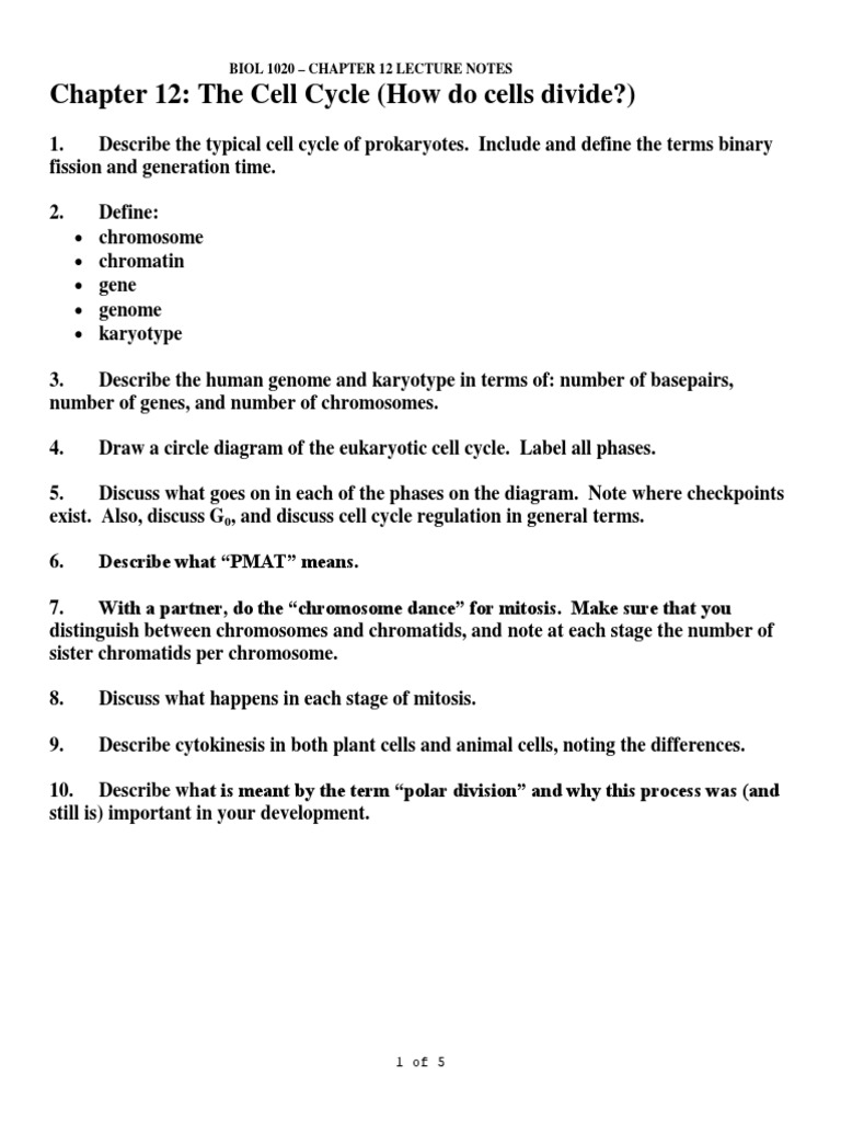 Cell Cycle Notes | PDF | Mitosis | Chromosome