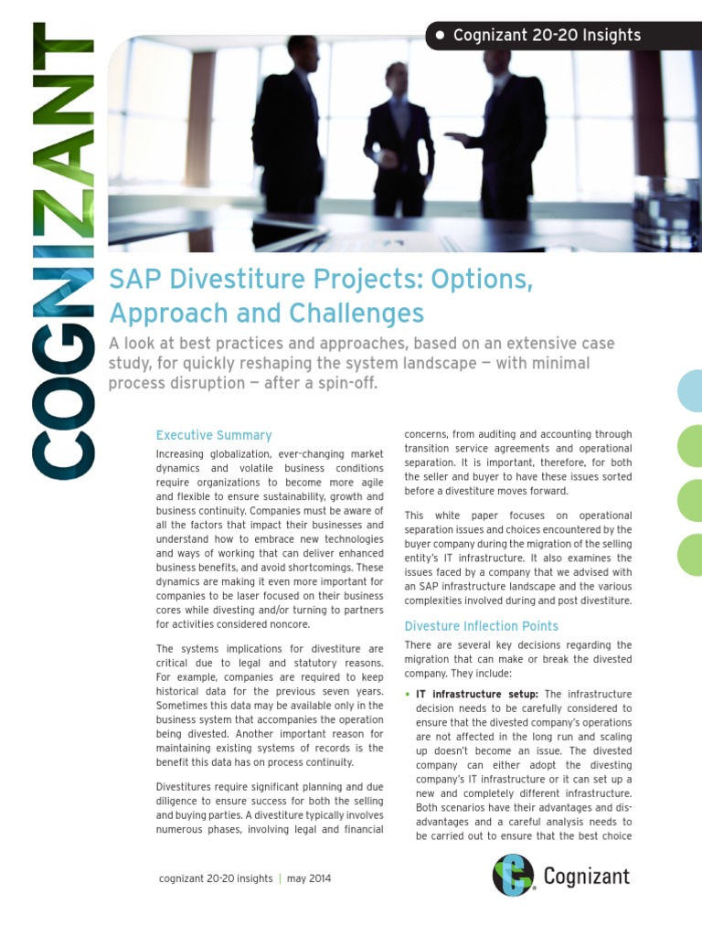 SAP Divestiture Projects Options Approach and Challenges | PDF ...