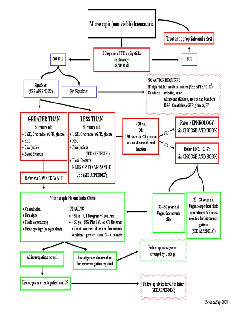 Microscopic (Non-Visible) Haematuria: Treat As Appropriate and Retest ...