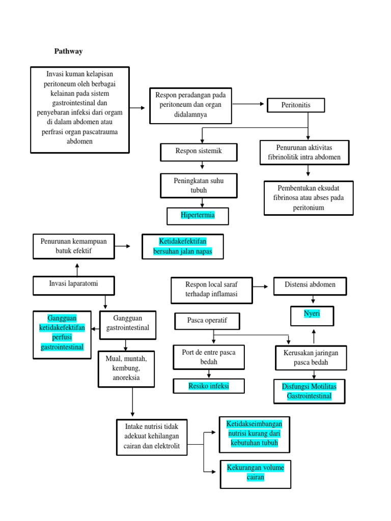 Pathway Laparatomi | PDF