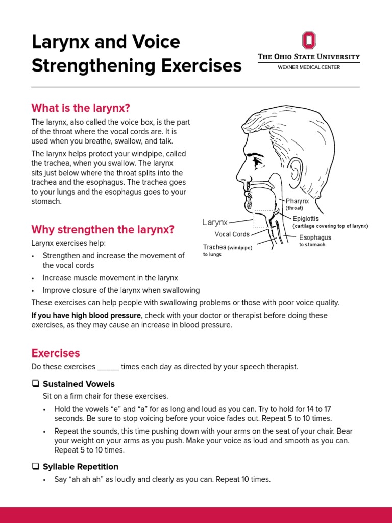 Larynx Strength Exer | PDF | Larynx | Human Voice