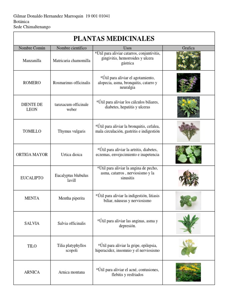 Tabla Plantas Medicinales | Hierbas y especias | Botánica