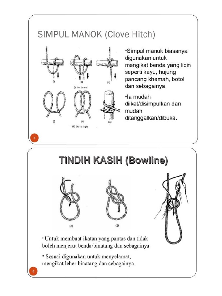 Pertandingan Ikatan dan Simpulan Pengakap | PDF