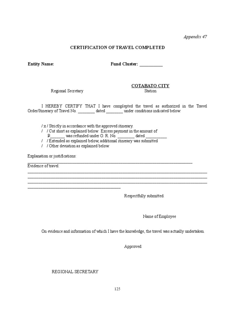 Travel Certification Appendix 47 | PDF