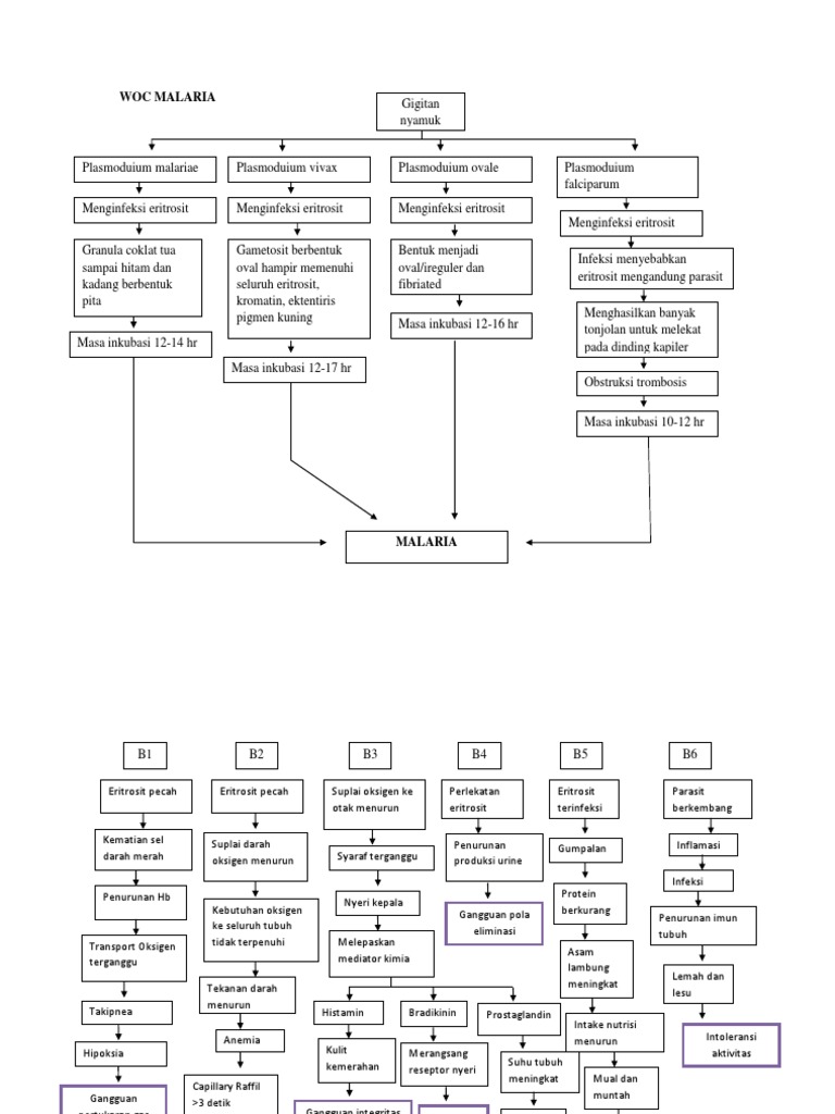 Woc Baru Malaria | PDF