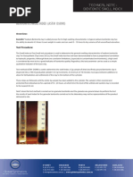 Yellowstone Format | PDF | Love | Thought