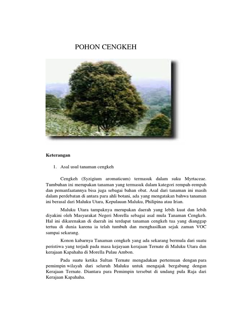 Sejarah dan Manfaat Pohon Cengkeh | PDF | Griya & Taman
