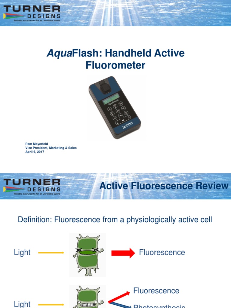 Aqua Flash | PDF | Fluorescence | Photosynthesis