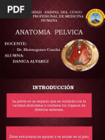 Anatomía y Cultura de las Nalgas | PDF | Nalgas | Anatomía humana