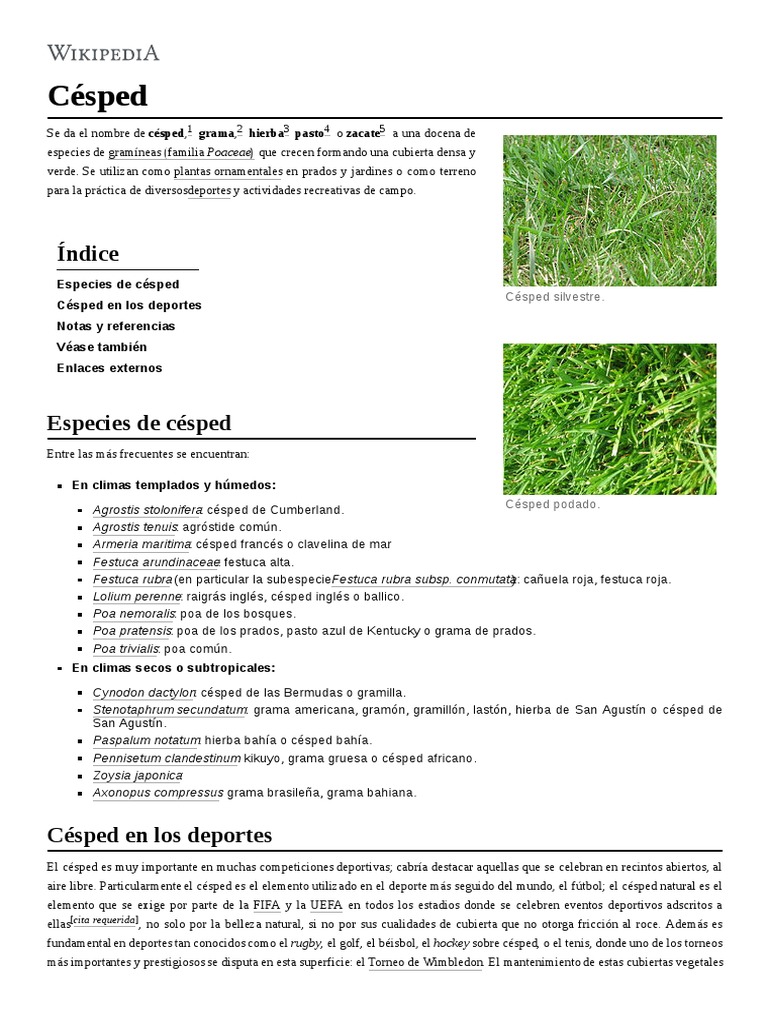 Césped | PDF | Forma de vida vegetal | Botánica