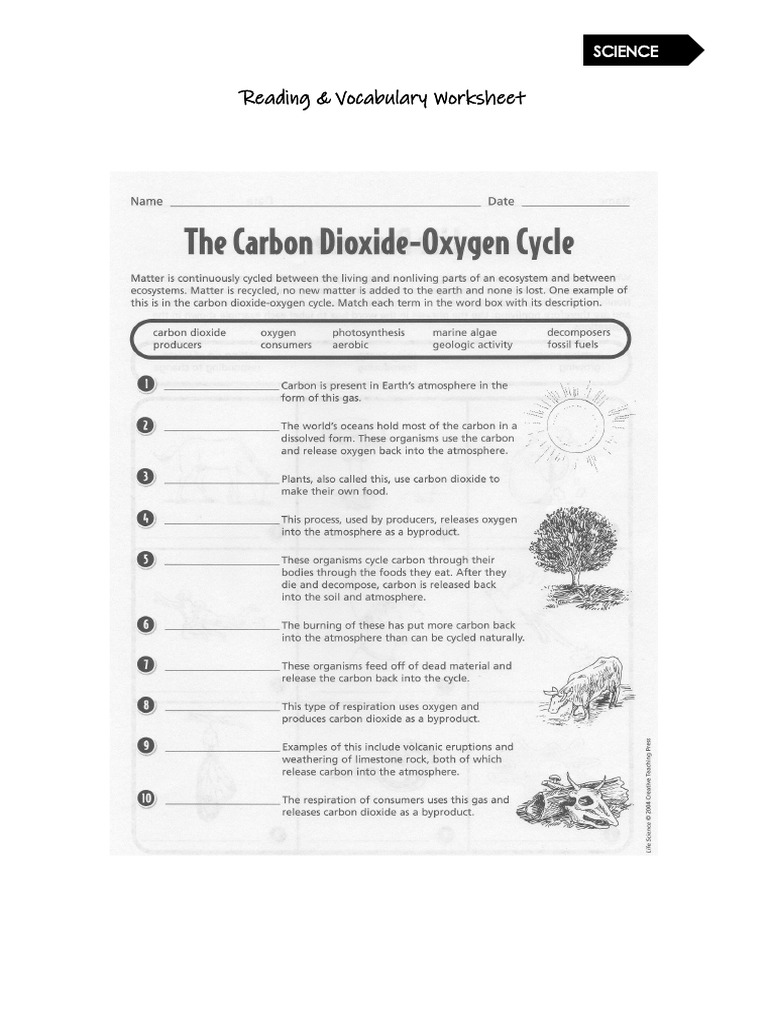 Reading Carbon | PDF