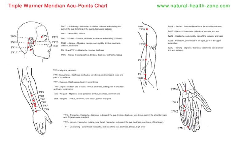 Triple Warmer Meridian Acu-Points Guide | PDF | Headache | Symptoms And ...
