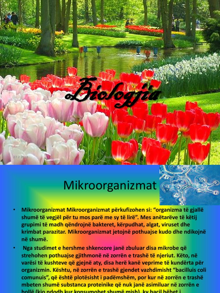 New Microsoft Office PowerPoint Presentation | PDF