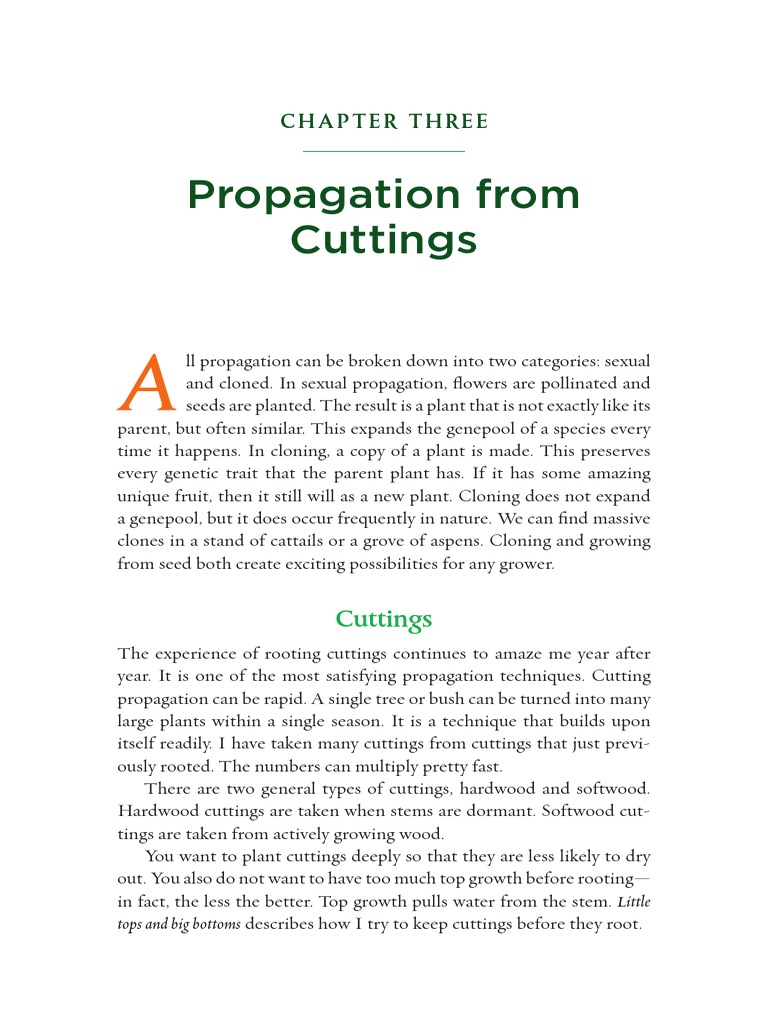 Trees of Power - Chapter 3: Propagation From Cuttings | PDF | Root | Trees