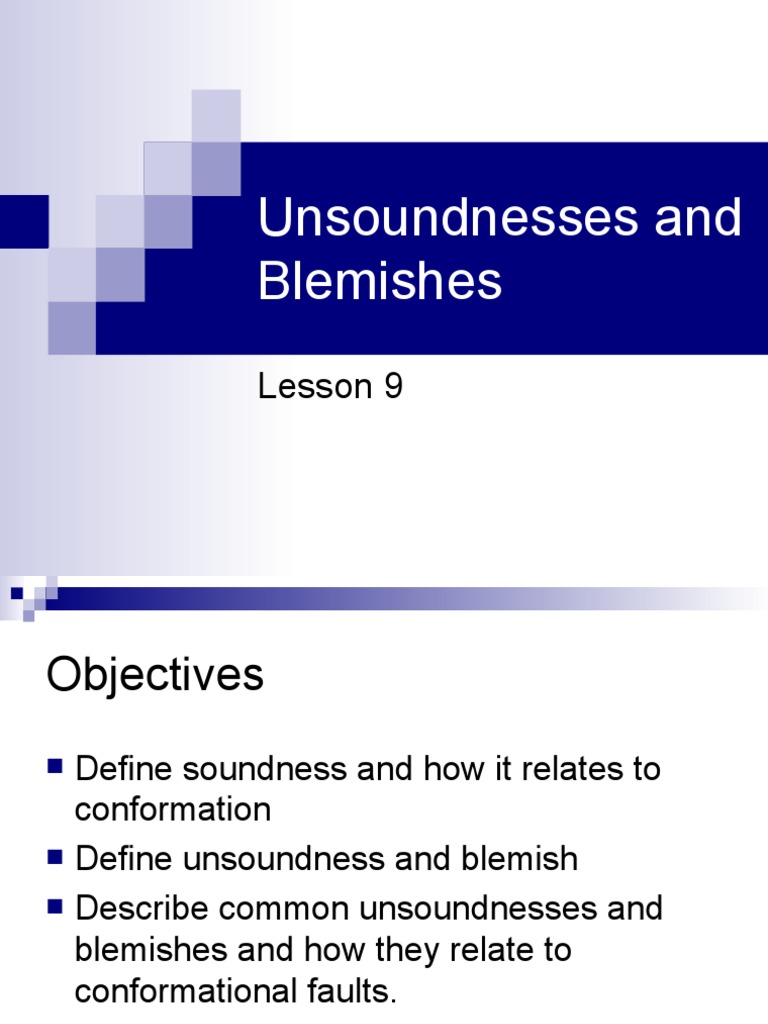 Understanding Horse Soundness and Blemishes | PDF | Knee ...