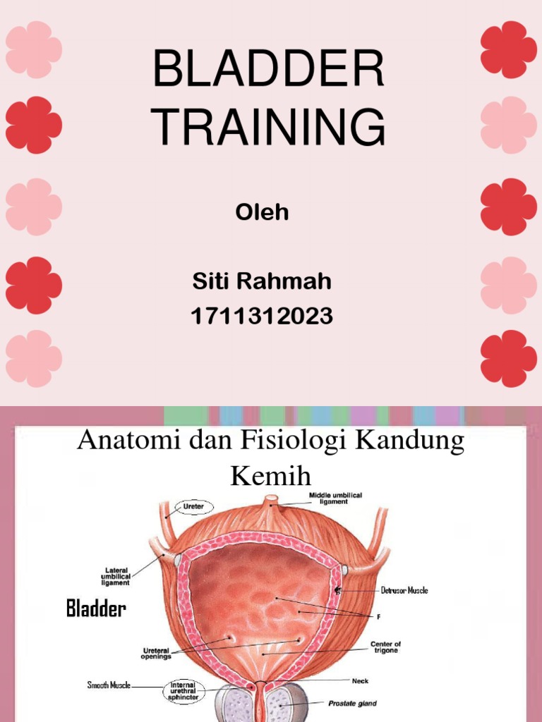 Bladder Training | PDF