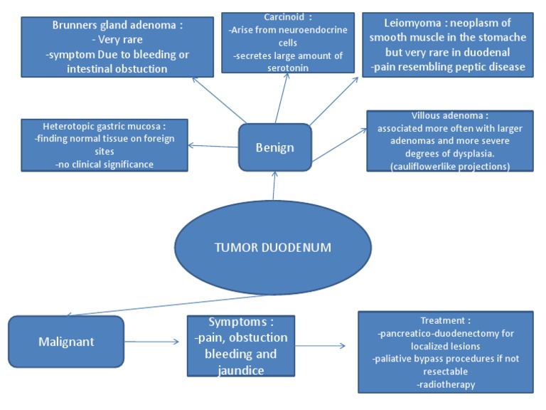 Duodenal Tumors: Types, Symptoms, and Treatments | PDF