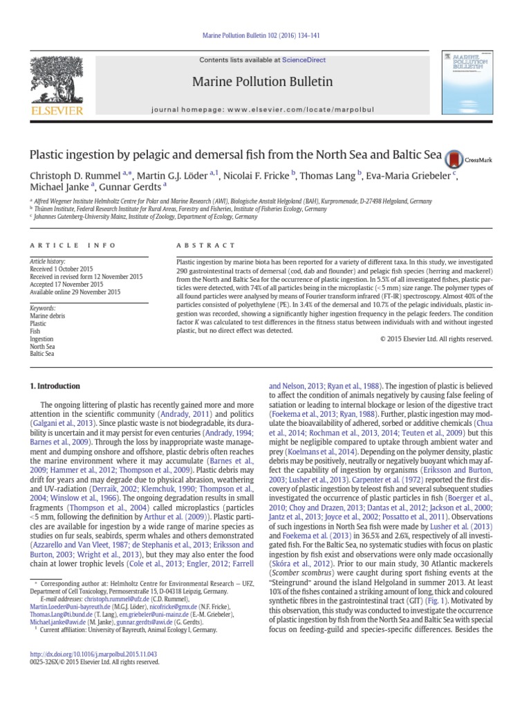 Marine Debris | PDF | Plastic | Sea