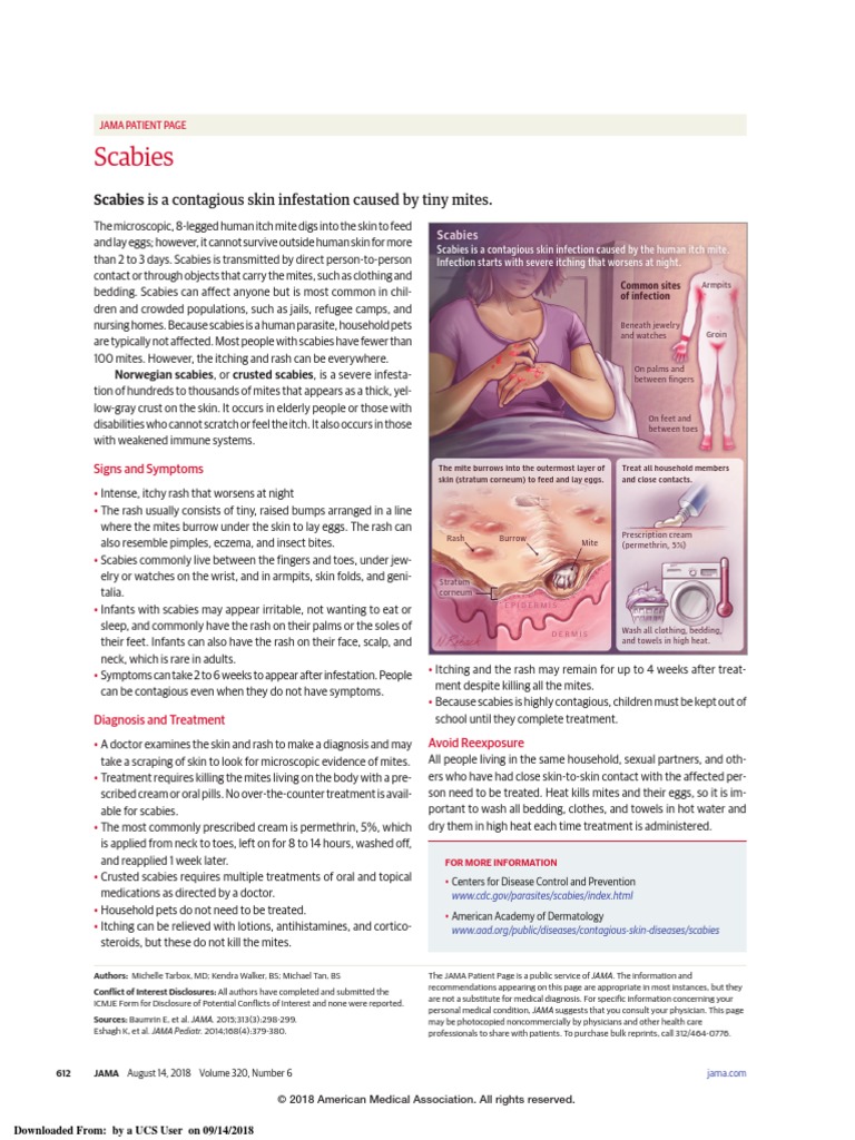 Scabies | PDF | Dermatology | Skin