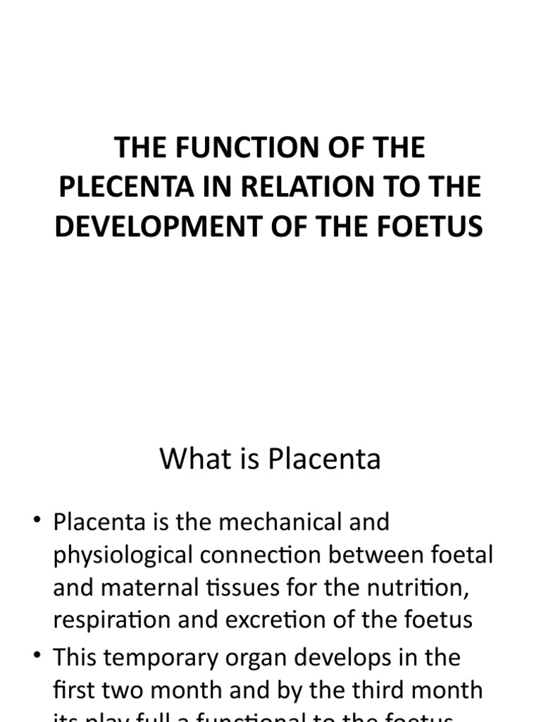 The Function of The Plecenta | PDF | Placenta | Fetus