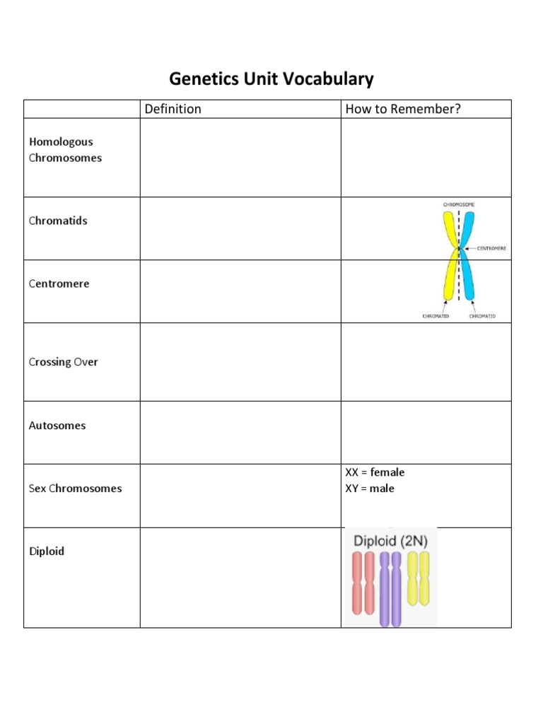 Genetics Vocabulary Guide | PDF | Social Science | Law