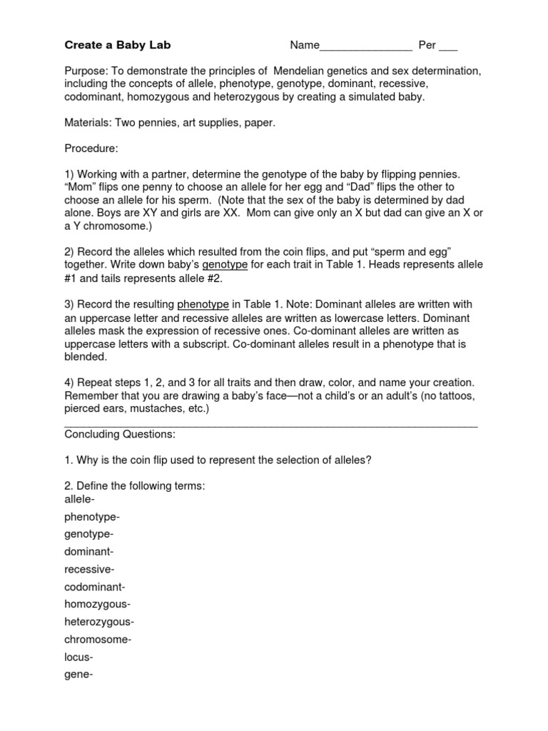 7 - Create A Baby Lab | Download Free PDF | Dominance (Genetics) | Allele