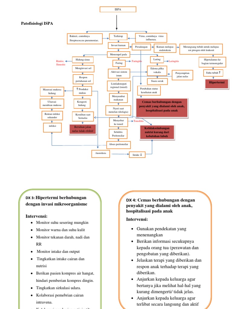 Tugas Anak Pathway | PDF