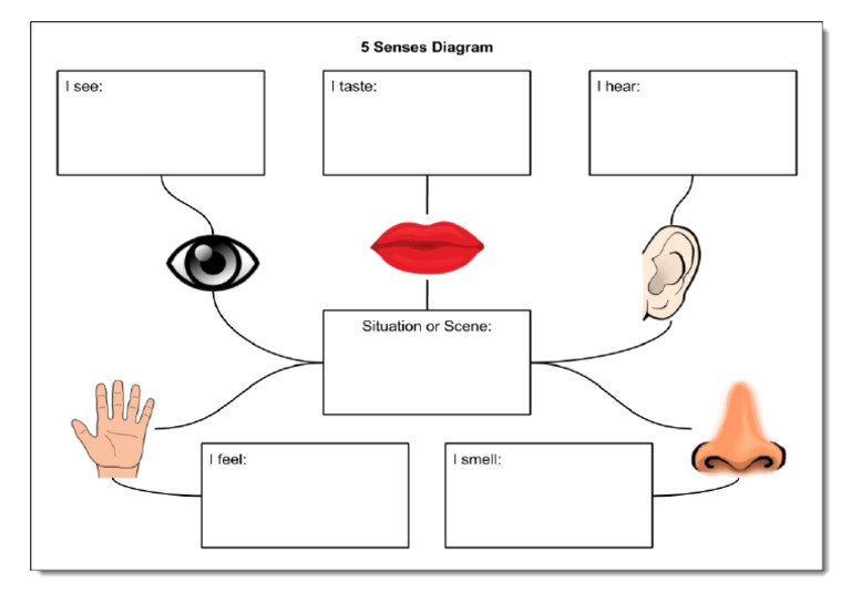 5 Senses Diagram | PDF