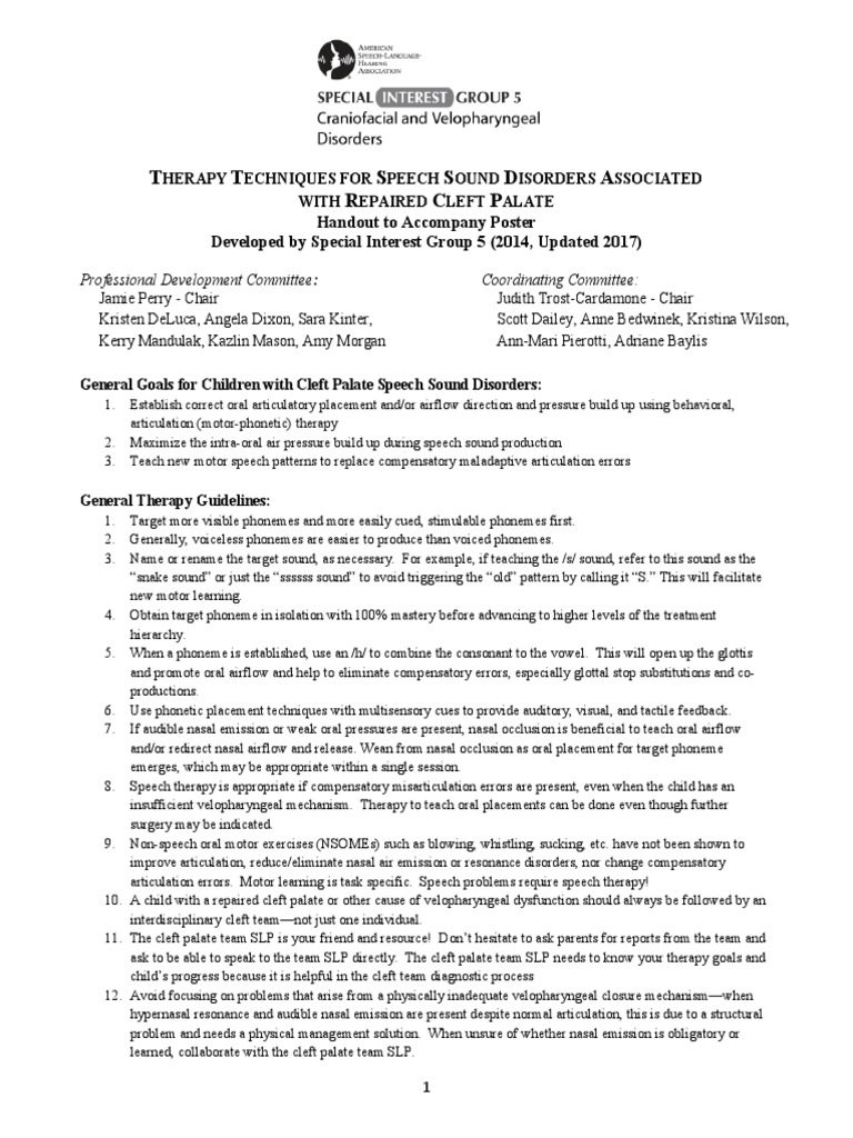 Therapy Techniques For Cleft Palate | PDF | Speech Language Pathology ...