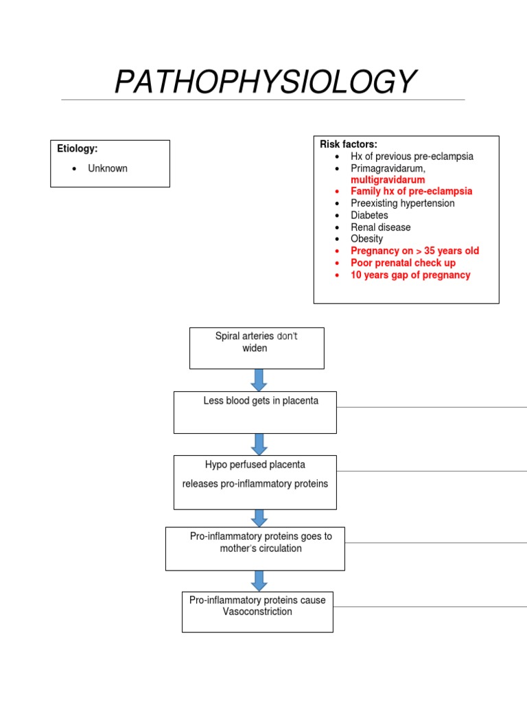 Pathophysiology For HELLP Syndrome | PDF | Cardiovascular System | Anatomy