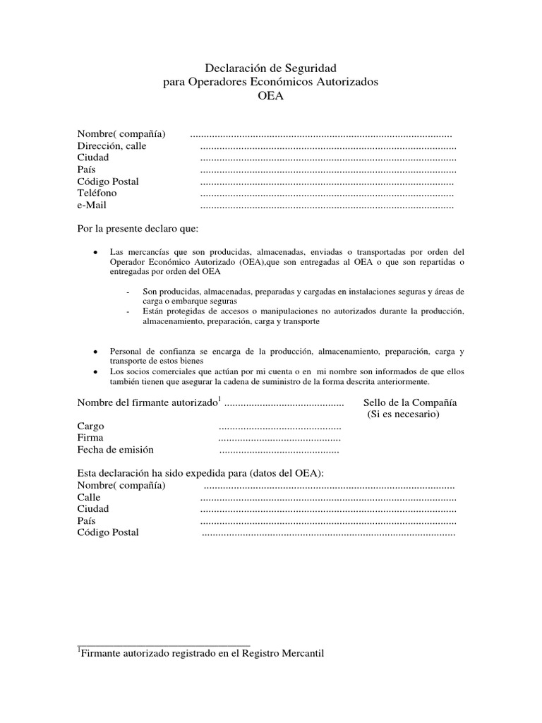 Modelo Dec Seguridad Oea | PDF | Informática | Seguridad